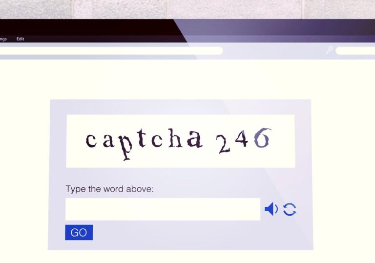 EAMS Public Case Search CAPTCHA Solution – Edex Information Systems